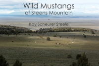Wild Mustangs of Steens Mountain - Nature & Wildlife Photography